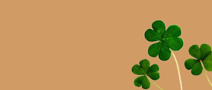 Ao Vodka: Buy Now | Caskers